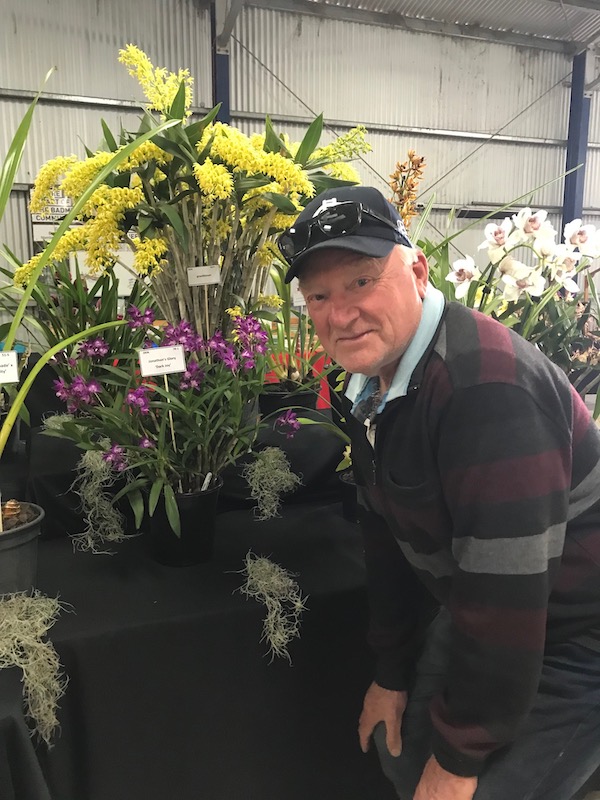 Cobden Orchid Show 2024 - Cobden